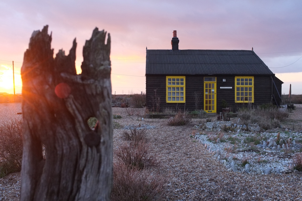 Derek Jarman 1942-1994 | Avant-gardener