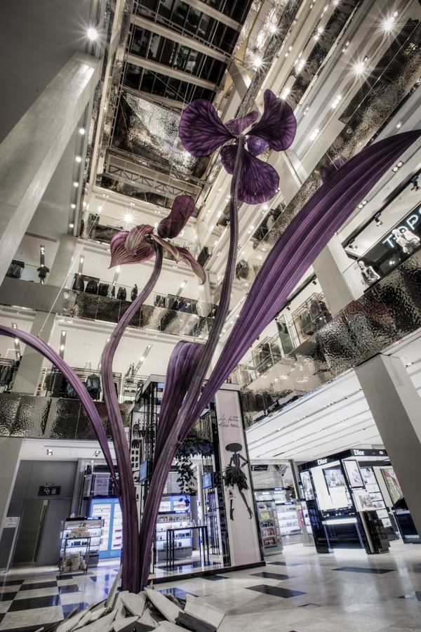 Simon Costin | flowers at Tsvetnoy Central Market