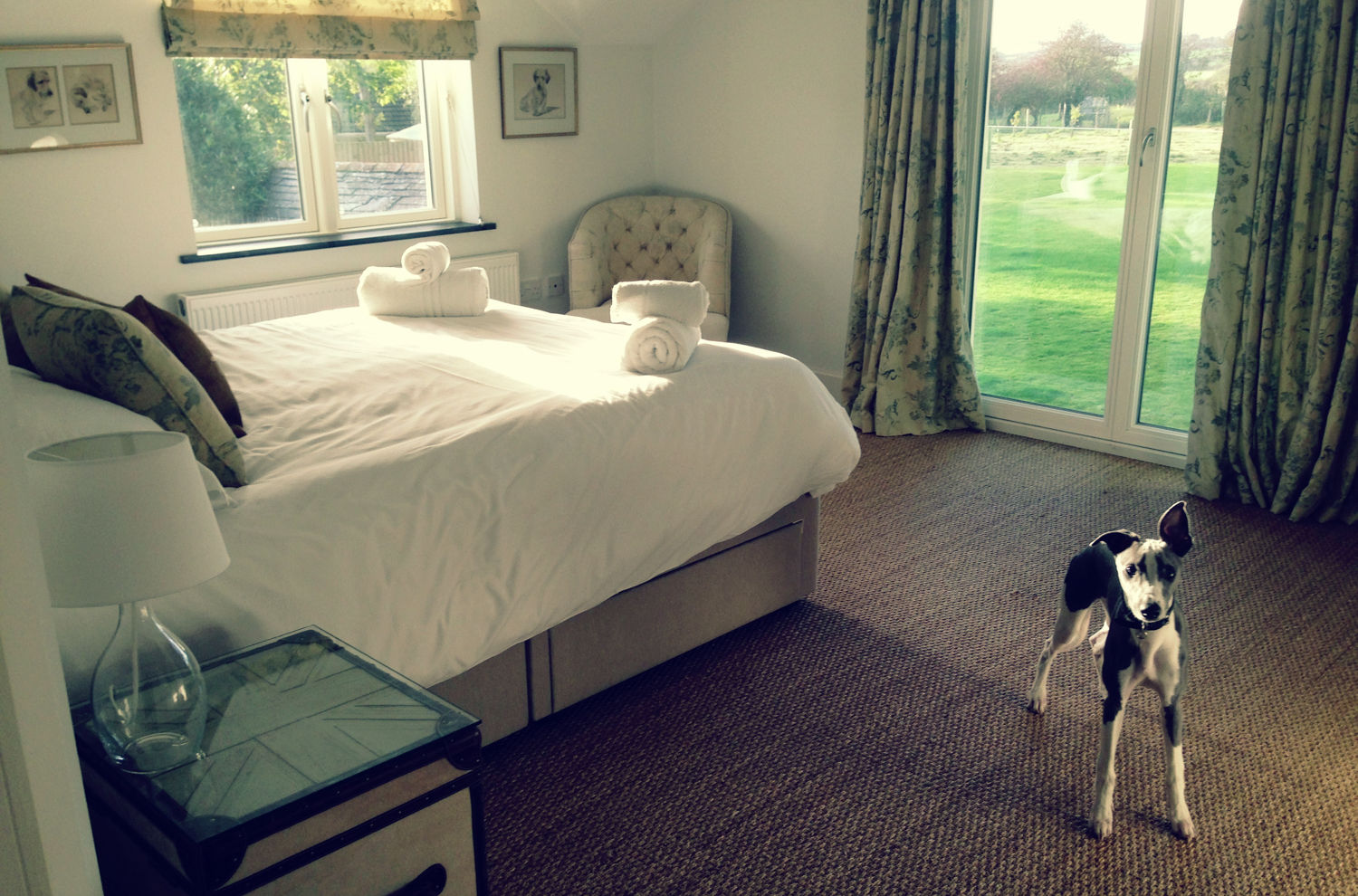 Rosie Birkett on Cornwall, Padstein and Cyril