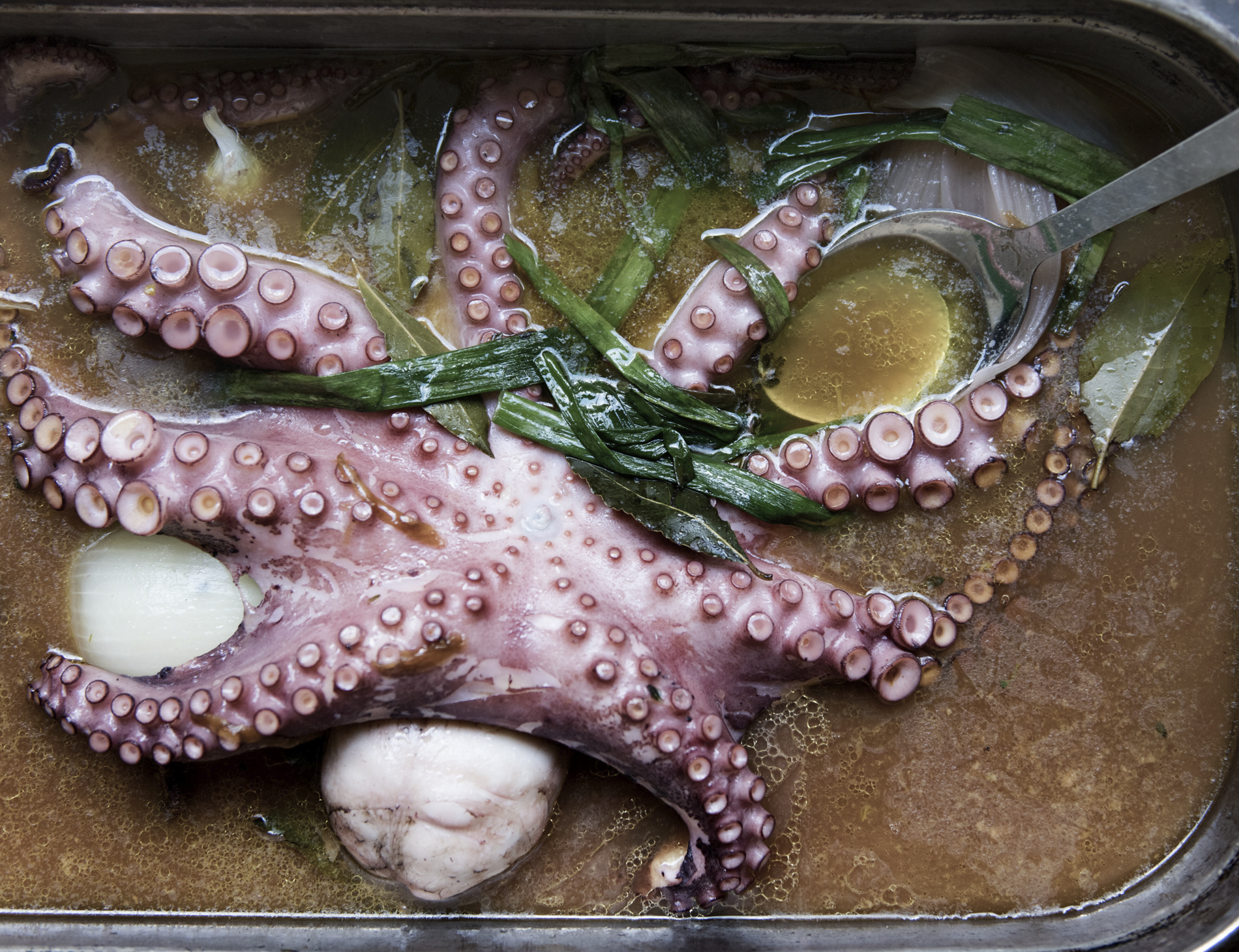 morito-hackney-road-review-tapas-new-restaurants-east-london