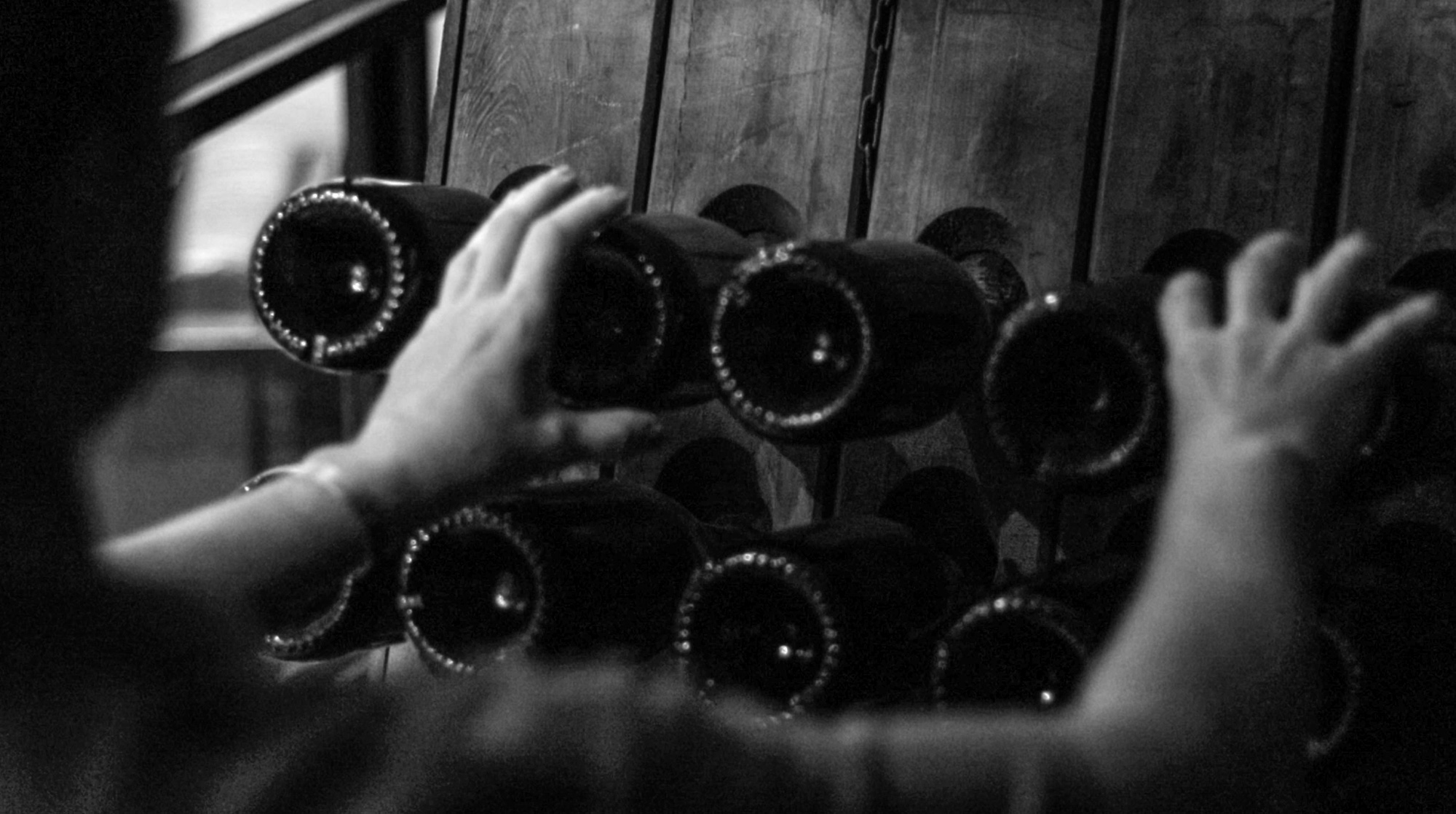 Effervesce Sense | Out of Africa, into your mouth - CIVILIAN